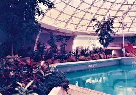 Home - Save Oasis Swindon - Save our Iconic Oasis Leisure Centre